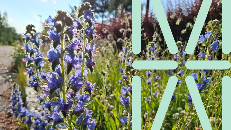 Etusivu | mooc.hamk.fi